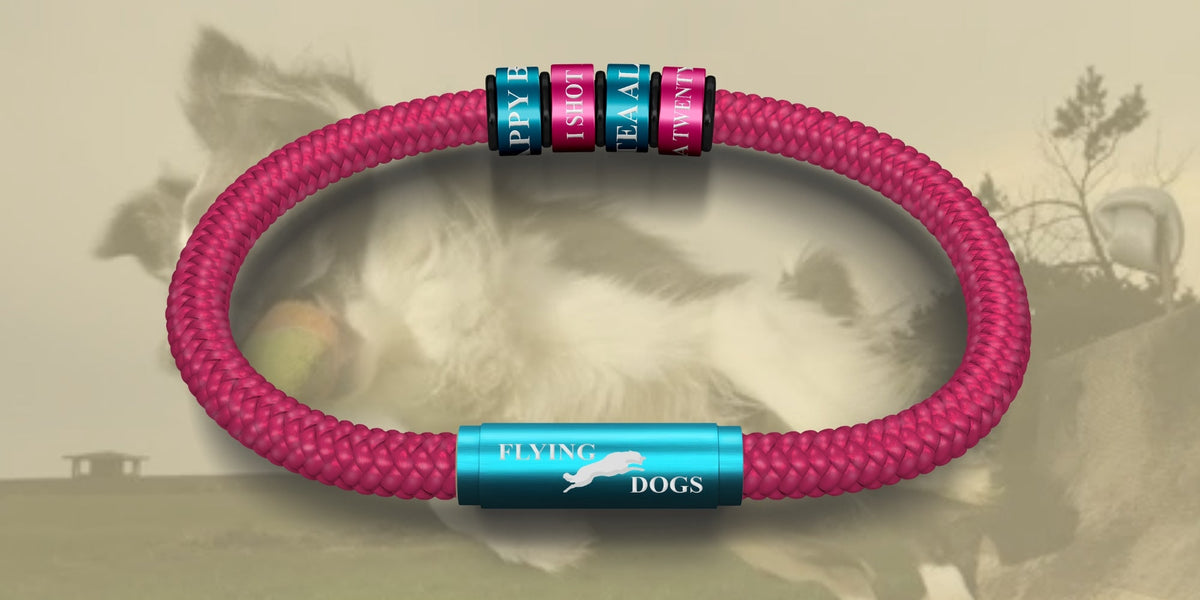 The Flying Dogs NOTCH Collection – NOTCH®