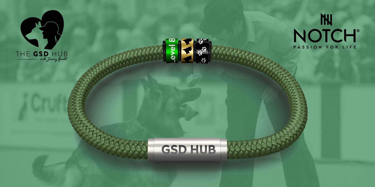 The GSD Hub NOTCH Collection – NOTCH®