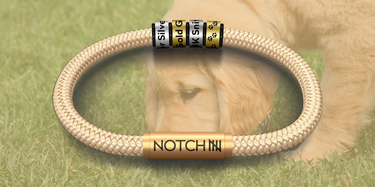 UK Sniffer Dogs NOTCH Collection – NOTCH®