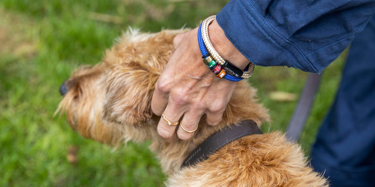 Dog Notches & Charms – NOTCH®