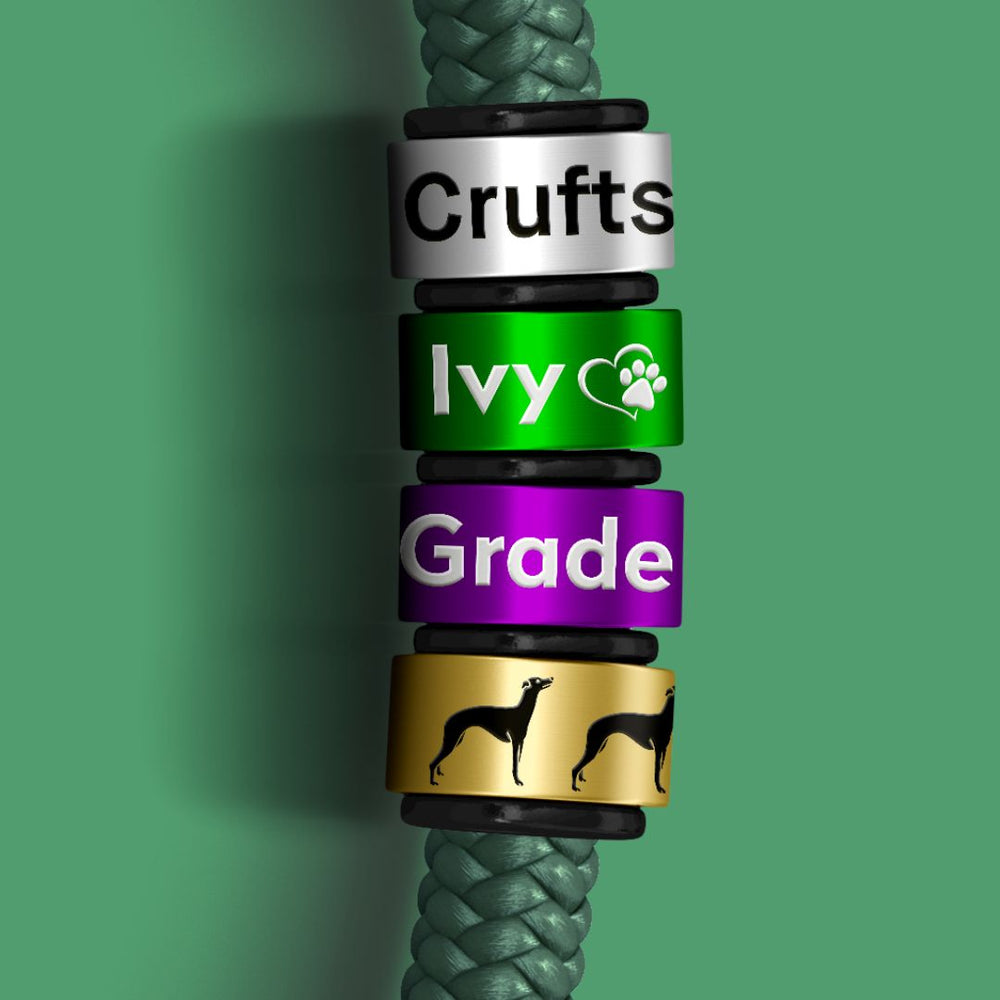 Gift Guide – NOTCH®