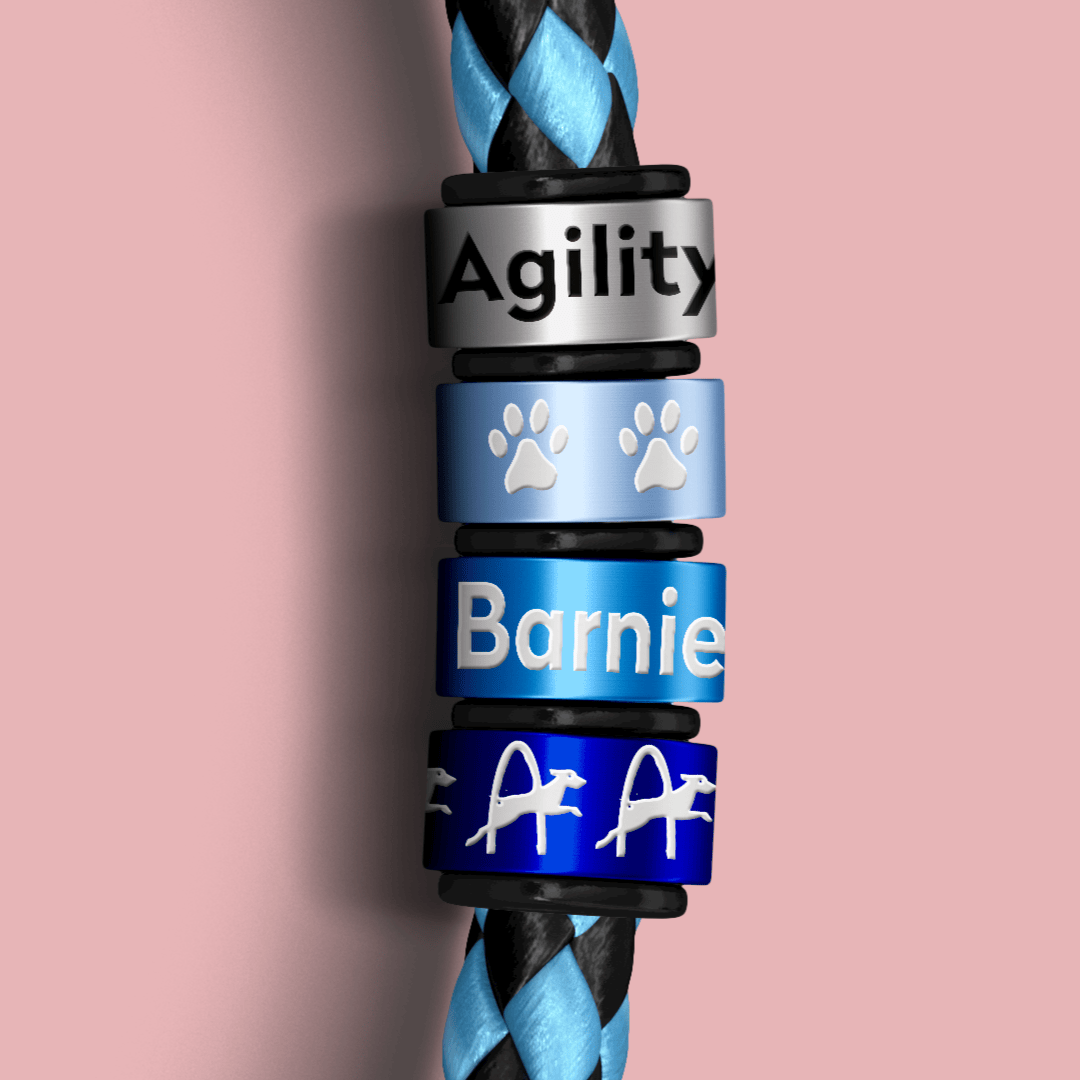 Gift Guide – NOTCH®
